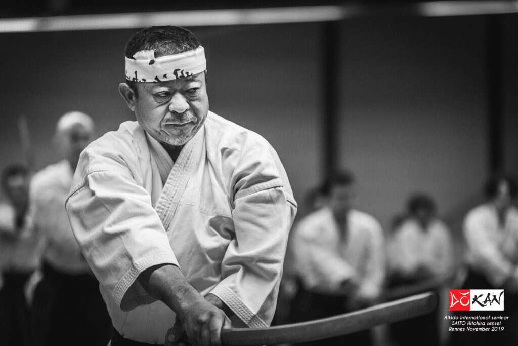 Bonne année 2019 - Iwama Ryu