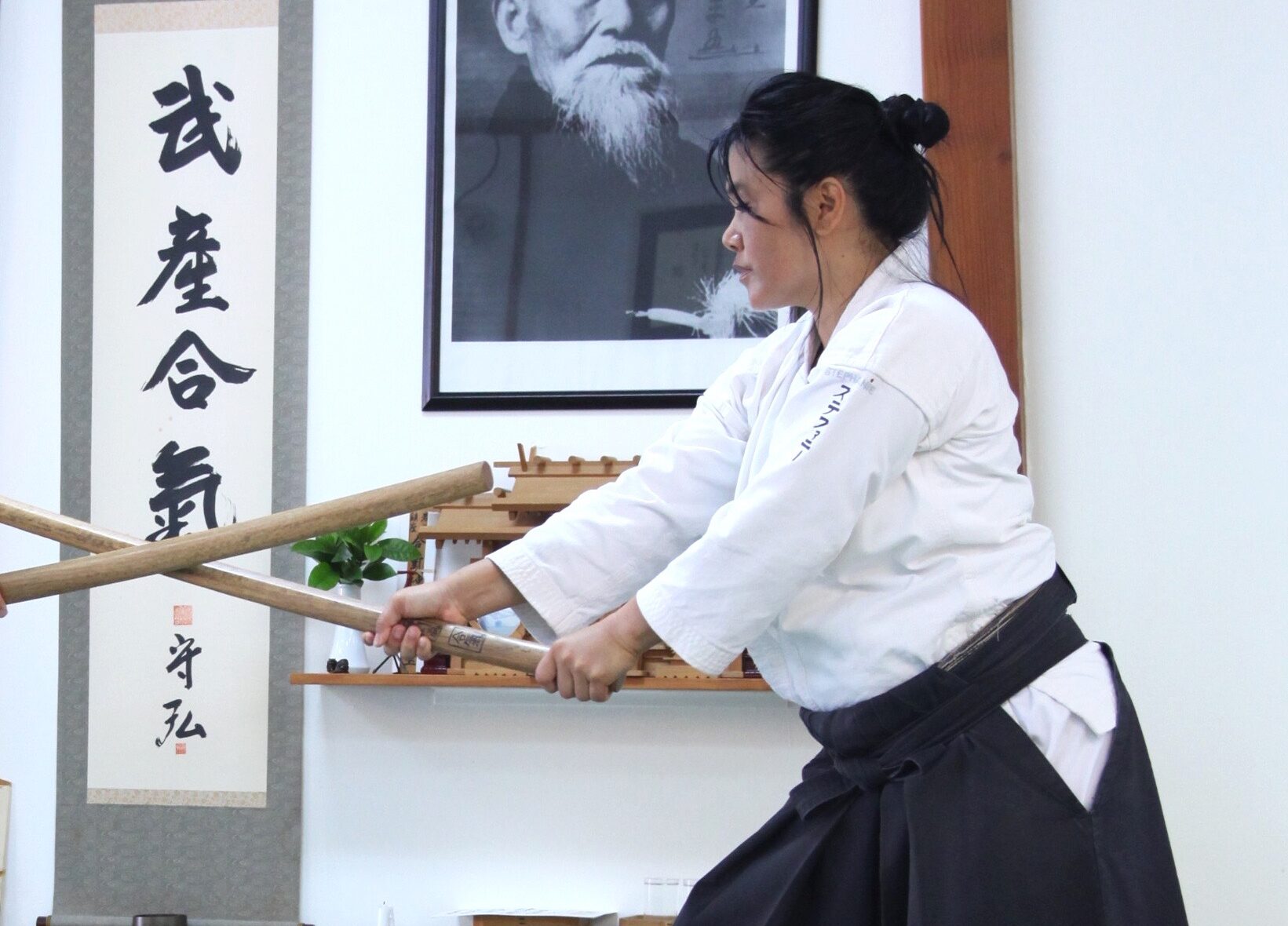 Stage international - Stéphanie YAP Sensei à Paris - Iwama Ryu